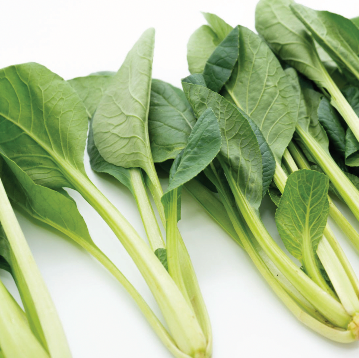 KOMATSUNA – Bloomsbury Farm TN